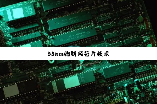 今日科普|55nm物联网芯片技术